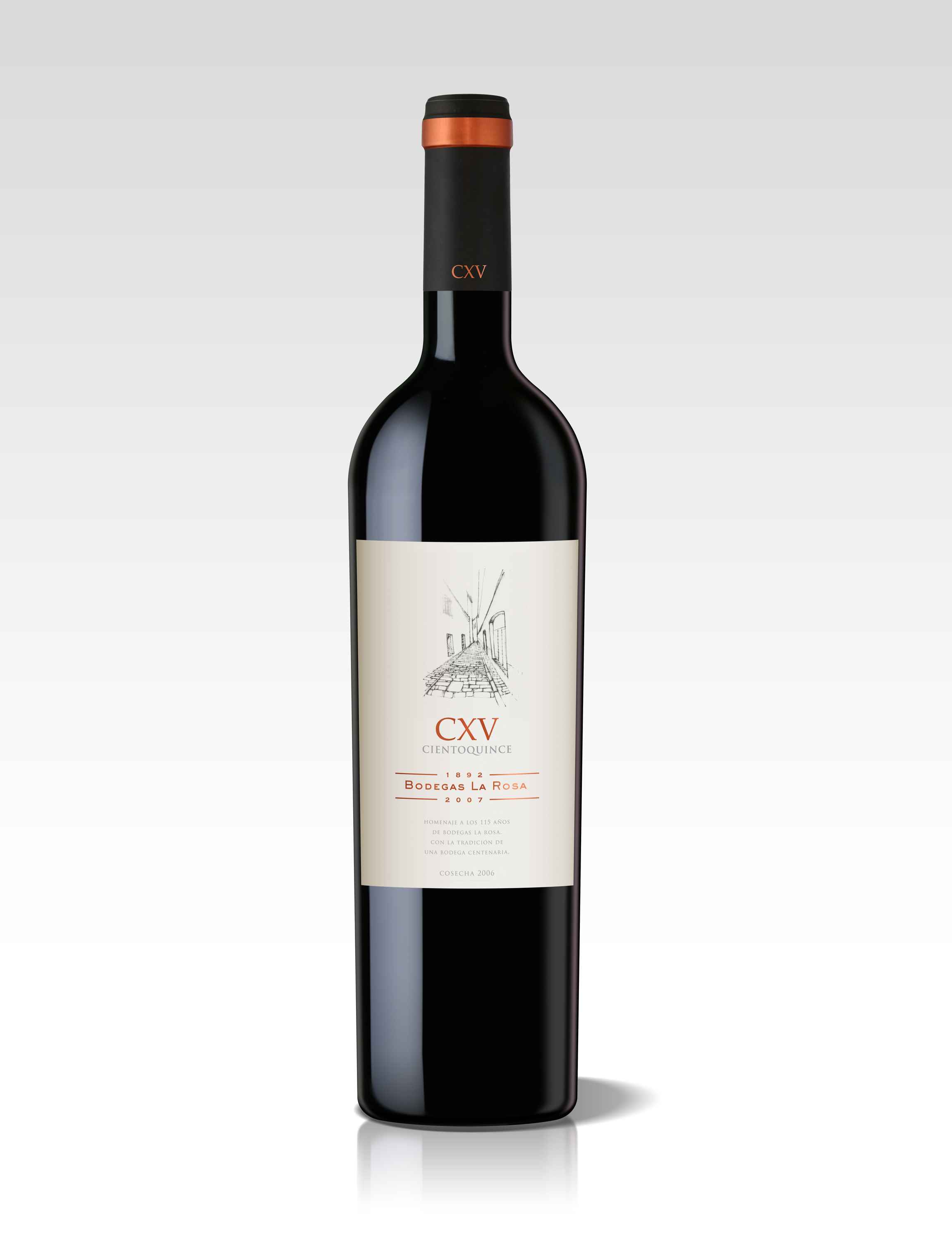 CXV, Cientoquince motivos para enamorarse | Todo en un click