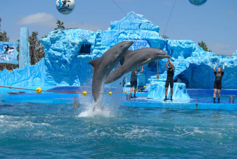 La Magia de la Naturaleza se vive en “Mundo Marino” | Todo en un click