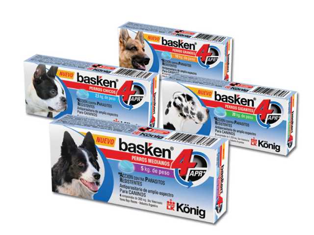 Basken 4, de König, ahora es más poderoso | Todo en un click