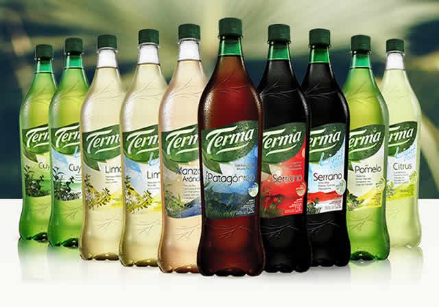 Terma, la primera bebida a base de hierbas de Argentina apta para ...